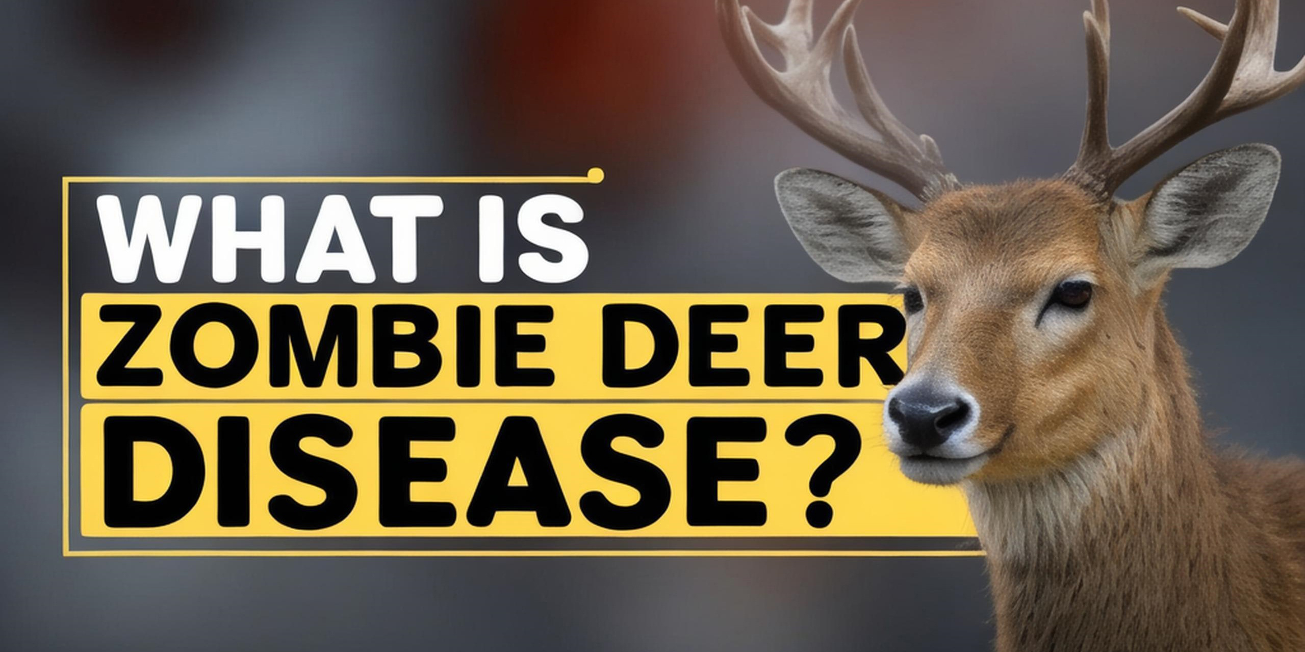 'Zombie deer disease' epidemic spreads, from Chronic Wasting Disease to ...